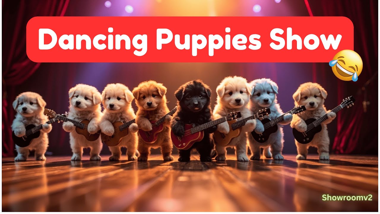 Funny Animals | Cute dogs | Dancing Puppies Show | Cute Singing Dogs on ...