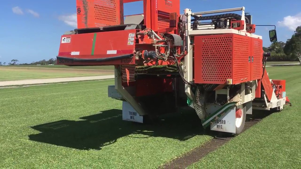 Daleys Turf New Trebro Harvester - YouTube