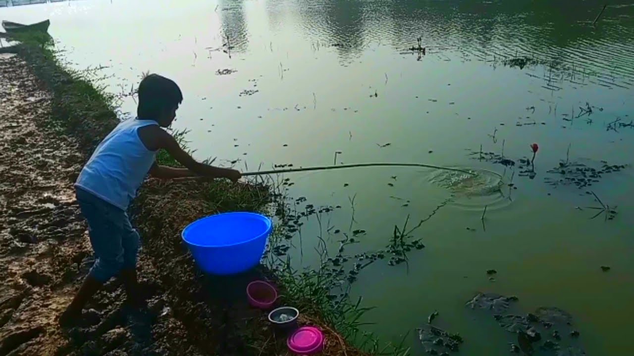 Best | Hook Fishing | Koi Fish With Hook | Traditional Hook Fishing ...