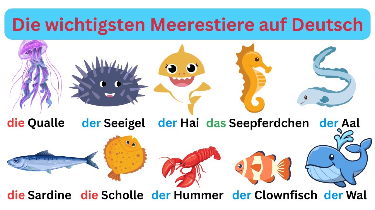 Deutsch lernen | Alle Tiere im Meer 🌊 Meerestiere |🐠 Learn German Sea ...