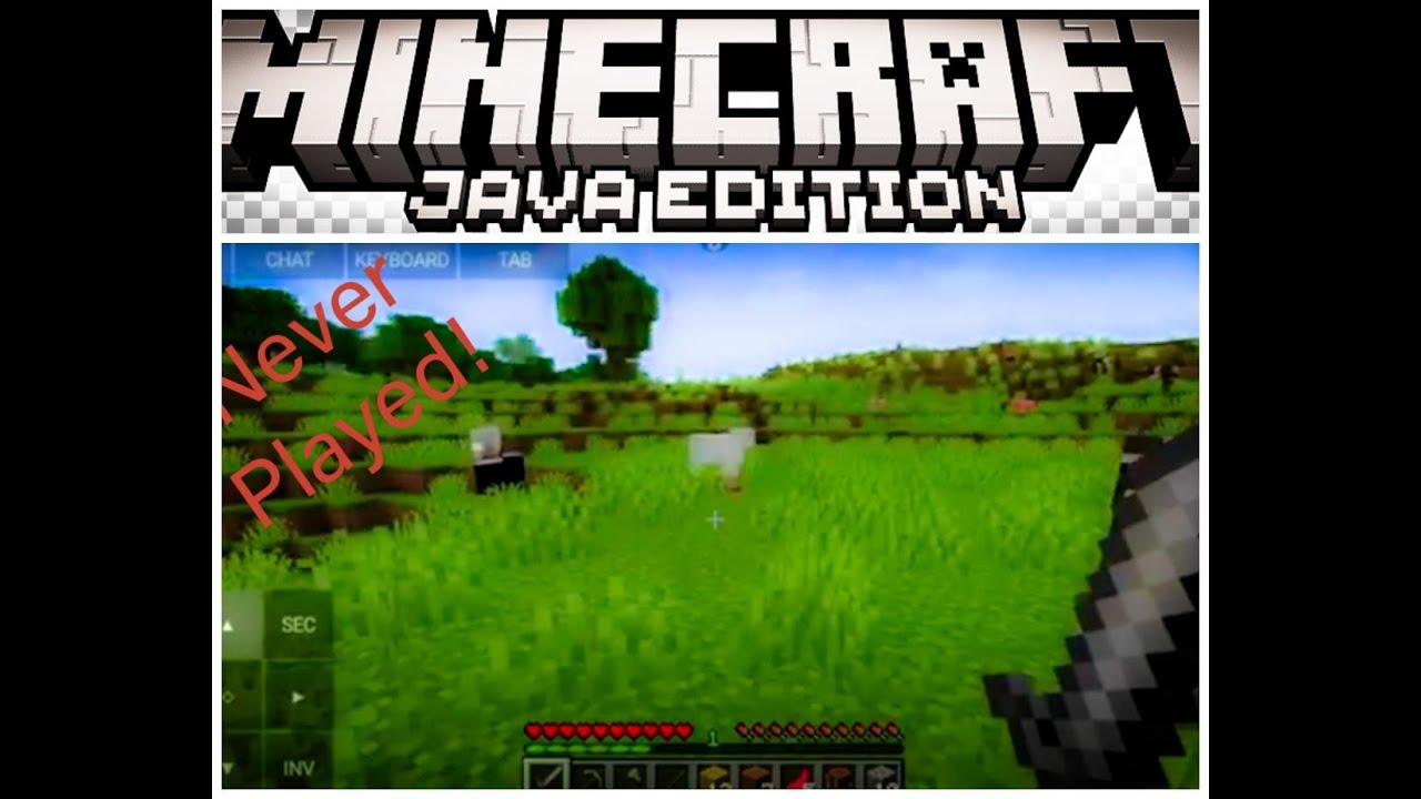 minecraft bedrock player plays java edition for the first time - YouTube