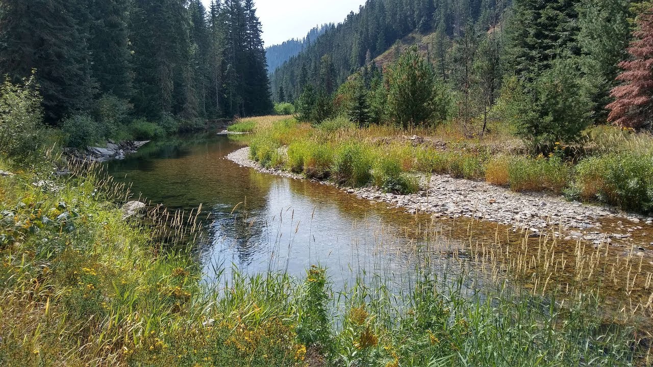Coeur d'Alene National Forest - YouTube