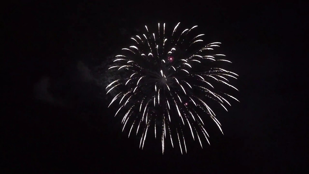 6" brocade crown with red strobe pistil - YouTube