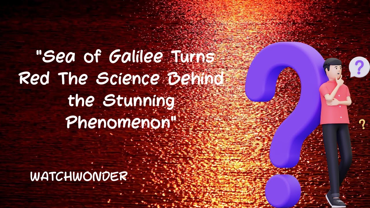 "Sea of Galilee Turns Red: The Science Behind the Stunning Phenomenon ...