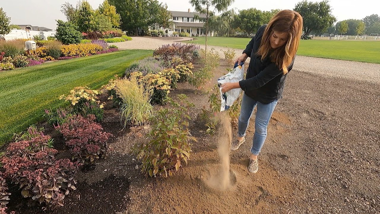 Digging Up and Moving Plants, Fertilizing the Lawn & Boxwood Trimming ...