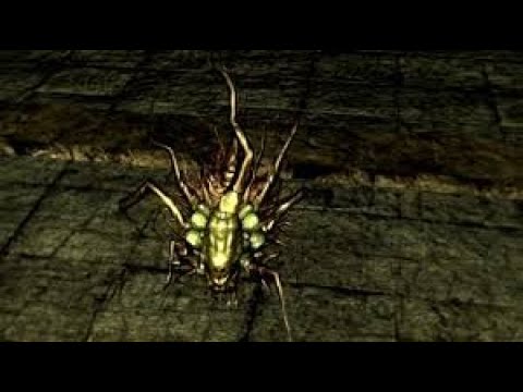 Dark Souls - Sunlight Maggot (LOCATION) - YouTube