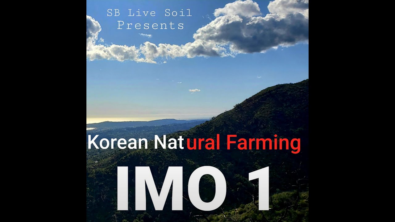 How To KNF ( Korean Natural Farming and it’s Organic Inputs ) : IMO 1 ...