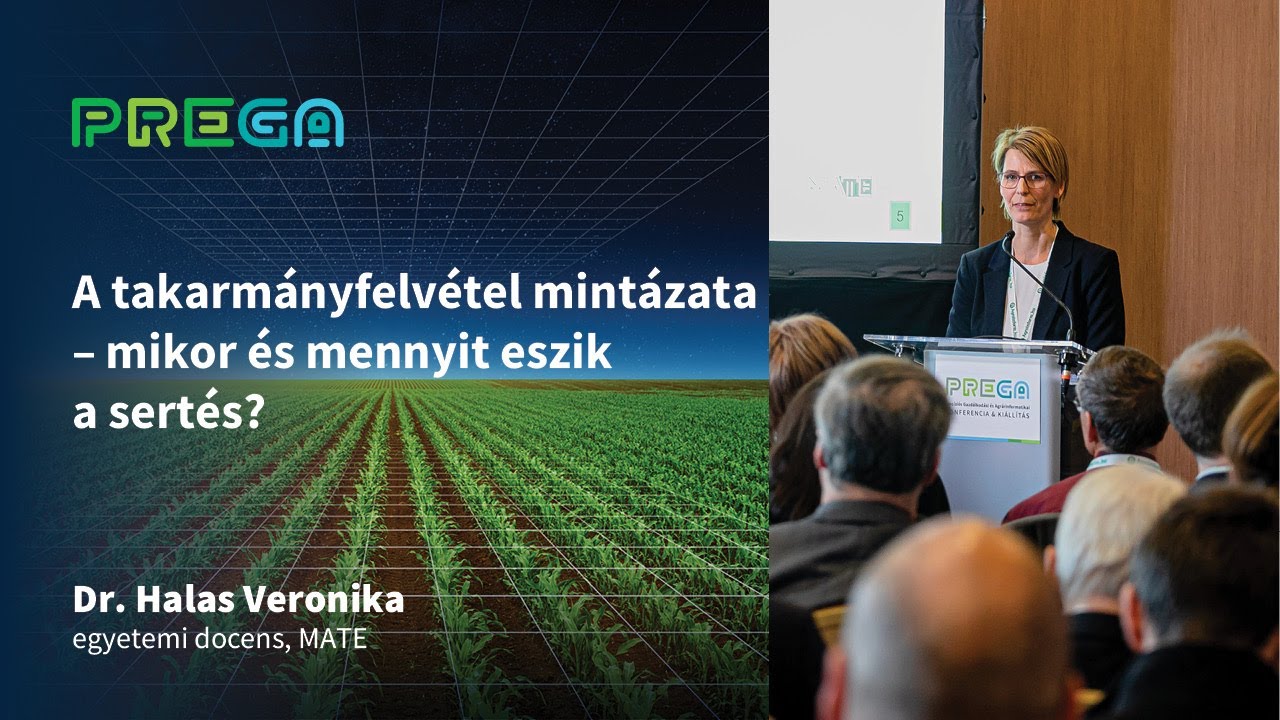 A takarmányfelvétel mintázata - mikor és mennyit eszik a sertés? - Dr ...