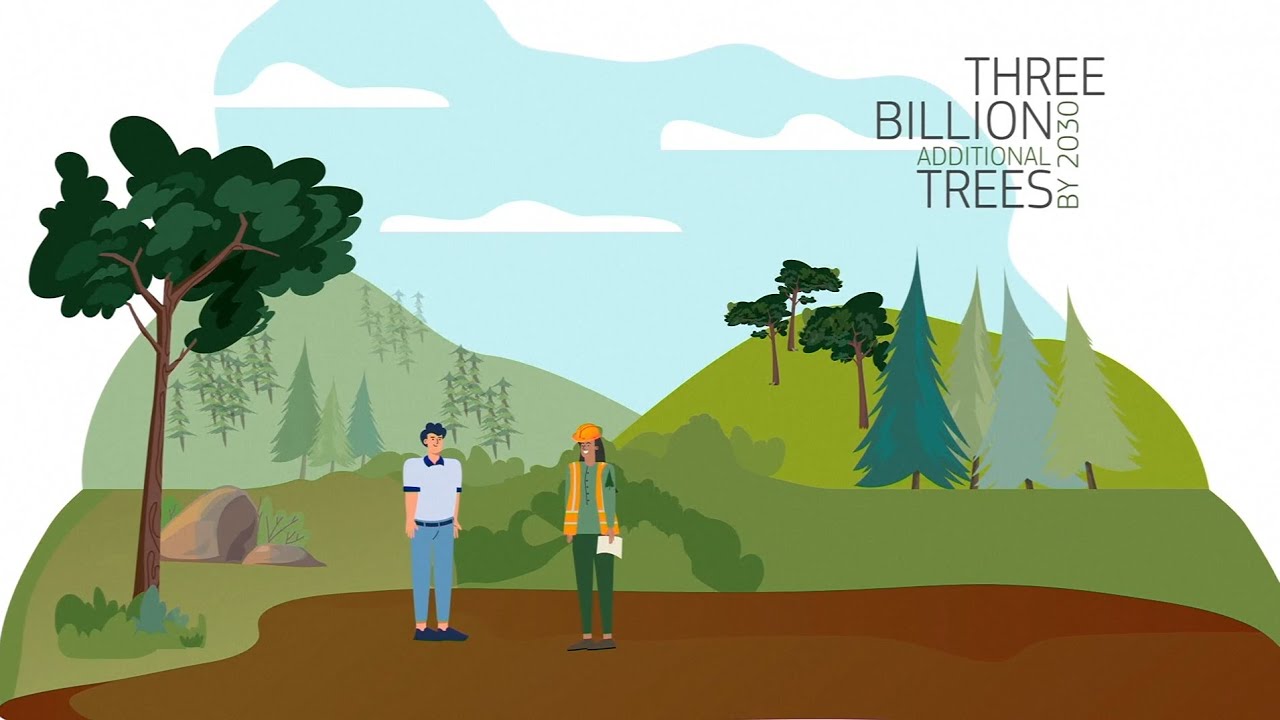 The 3 Billion Trees Pledge - YouTube