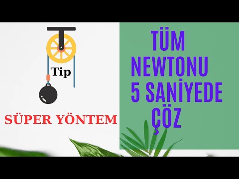 Newton Tüm İp gerilimini oran orantı ile çöz | #aytfizik #11fizik 