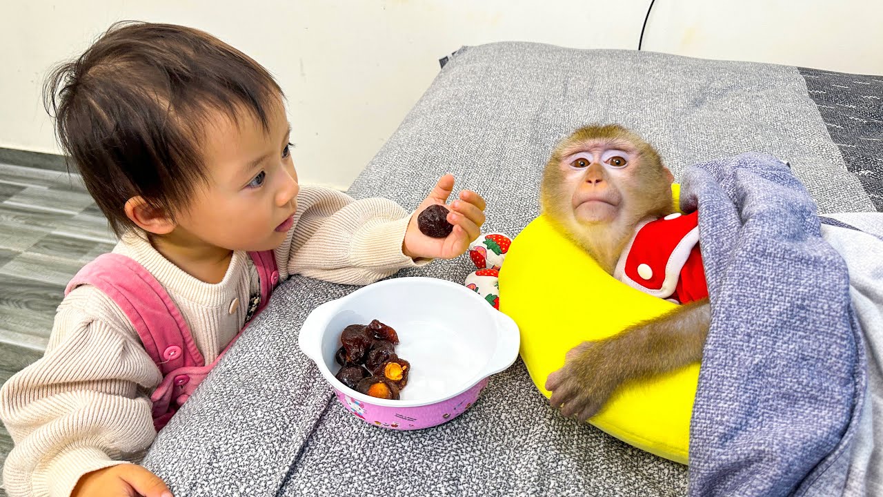 Diem was sad when Monkey Kaka was lazy to eat because was sick - YouTube