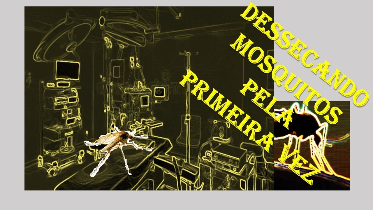 Dessecando Mosquitos pela primeria vez/ Mosquitoes dissection # ...