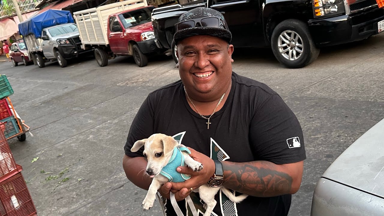 I’m Diggin’ On You Joss Stone Zihuatanejo - YouTube