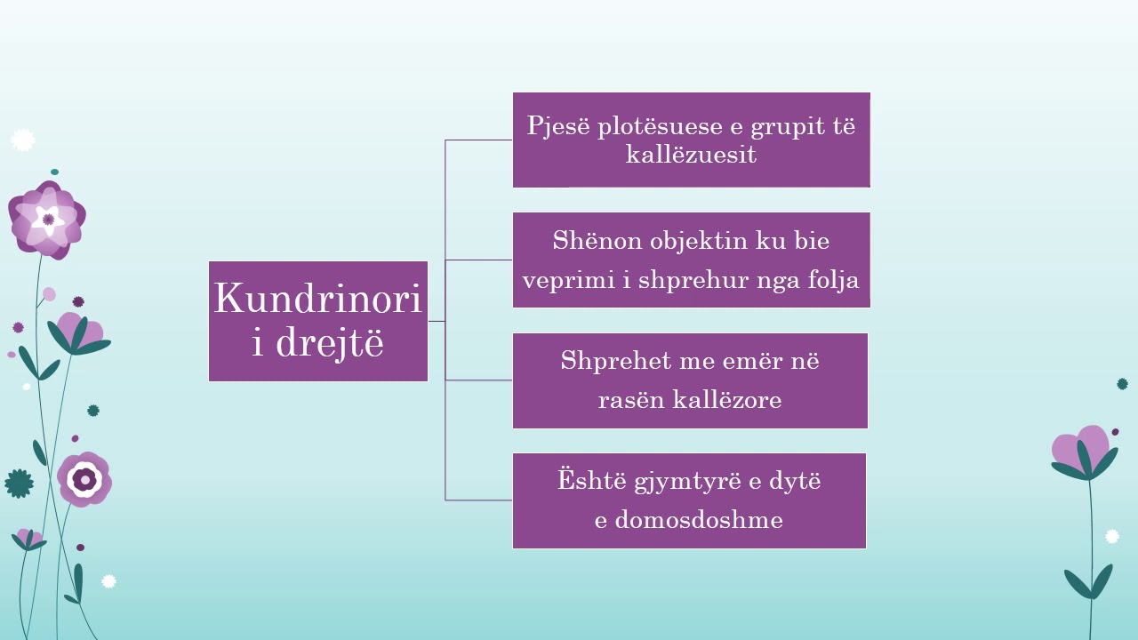 Kundrinori i drejtë, kundrinori i zhdrejtë, klasa VI, "Ardian Klosi ...