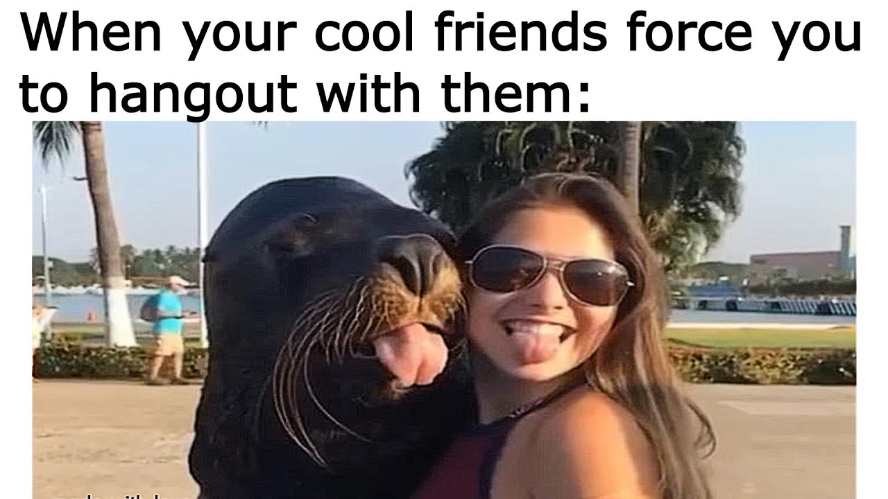 Wholesome Memes Hope You Feel Better Meme - Keepingup With Thegreen