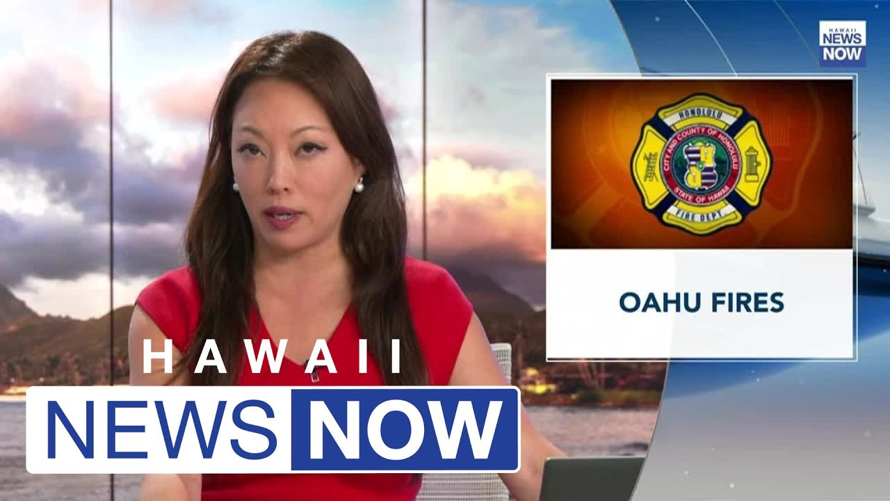 HNN News Brief (March 27, 2023) - YouTube