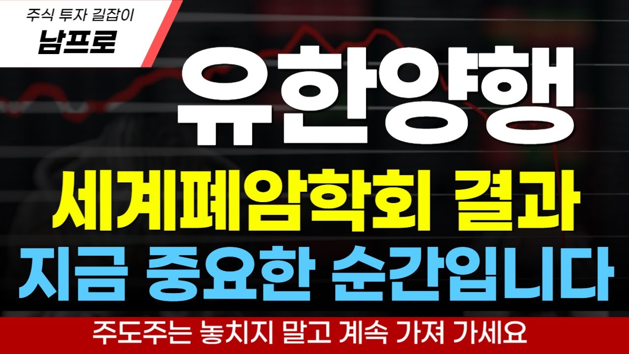 유한양행 세계폐암학회 결과 지금 중요한 순간입니다 유한양행 유한양행주식전망 유한양행주가전망 유한양행주가 Youtube