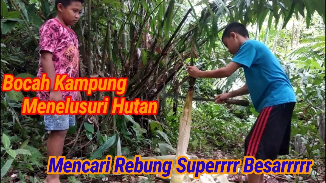 Menjelajahi Hutan Ala Anak Kampung • Mencari Rebung • Mencari Buah ...