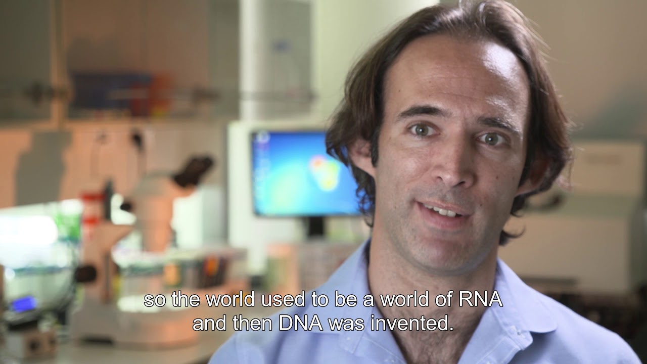 2019 Kadar Family Award – Prof. Oded Rechavi - YouTube