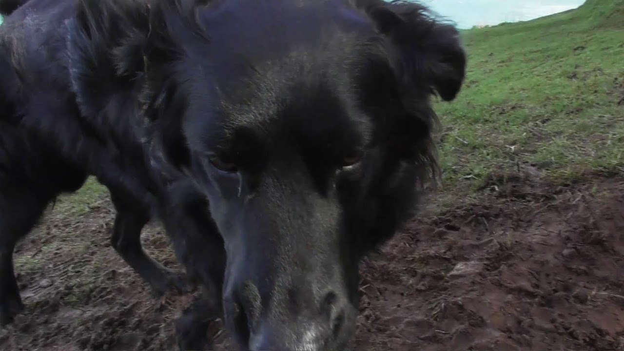 Bear's Bites 01/03/2020 Part 3 of 3 - YouTube