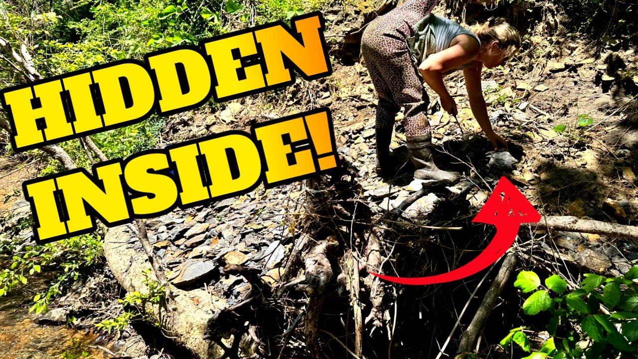 Coal Miners dug this up 100 years ago not realizing its Historical ...