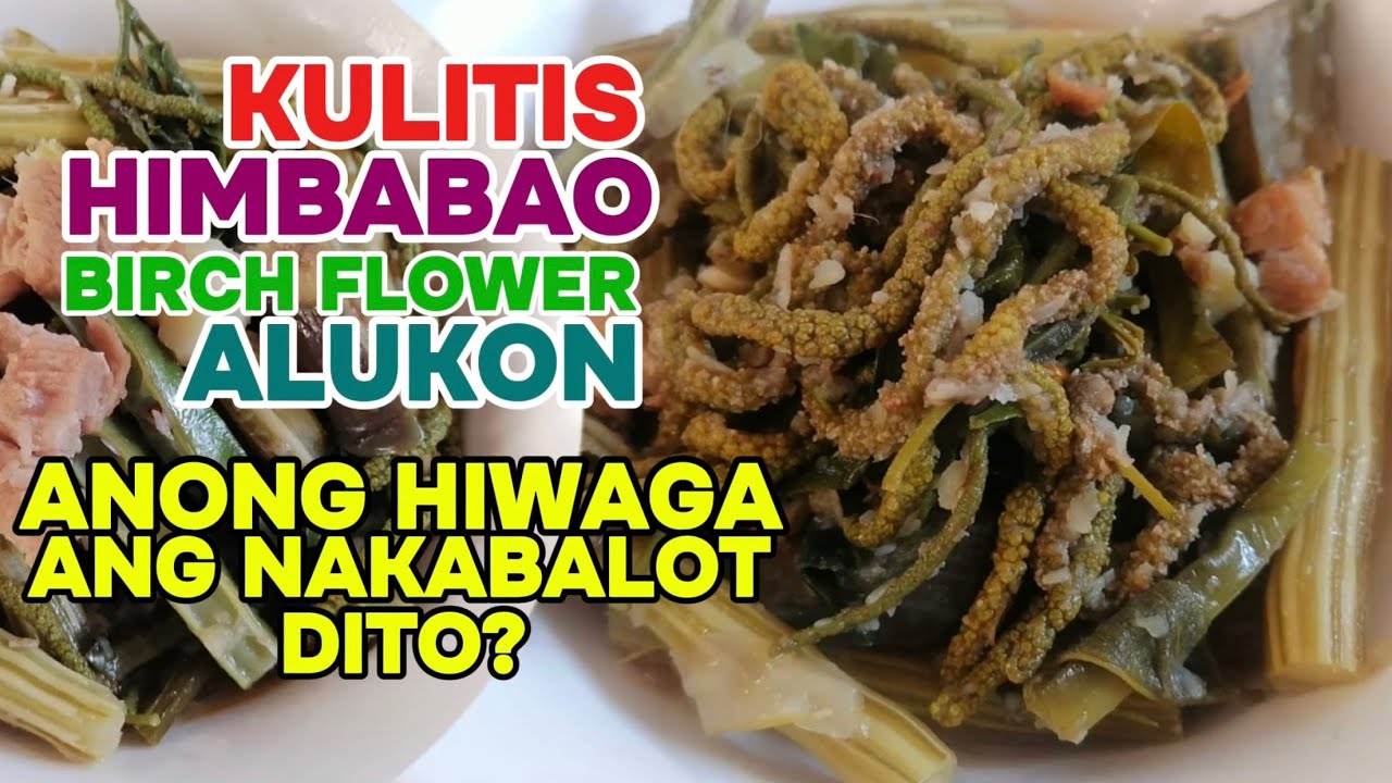 Himbabao|Birch Flower|Bakit ito tinawag na isa sa miracle veges - YouTube