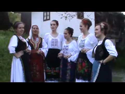 Nas je prvi sastanak u vocu (groktalica) - Skola pevanja Bojane Nikolic