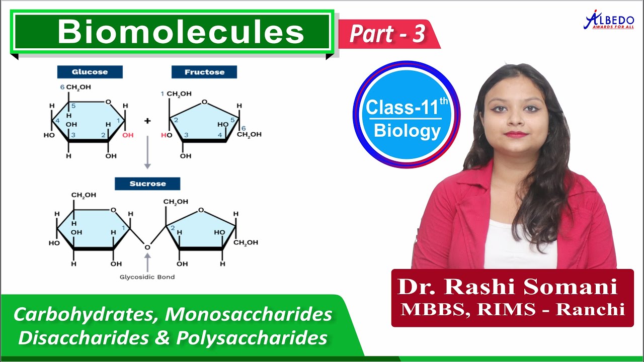 Biomolecules -3 | CARBOHYDRATE, Monosaccharides and disaccharides ...