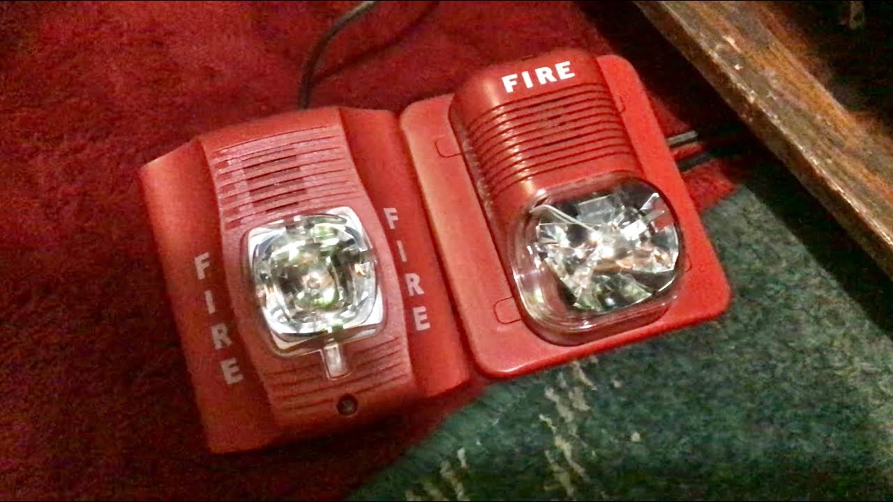 SPECTRALERT CLASSIC VS SPECTRALERT ADVANCE!!!!!!!!!!!!! - YouTube