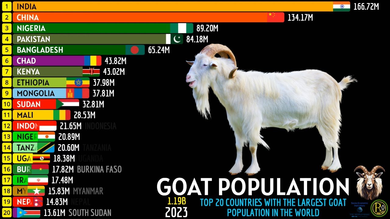 TOP 20 COUNTRIES WITH THE LARGEST GOAT POPULATION IN THE WORLD - YouTube