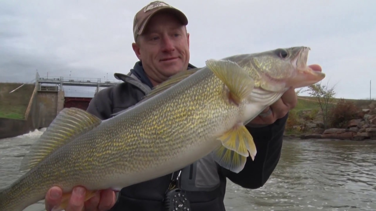Big Muskie and More on The Wisconsin River - YouTube