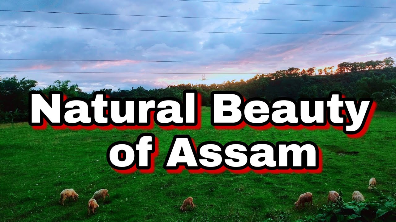 Natural Beauty of Assam - YouTube