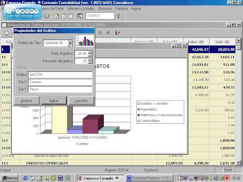 Demo Contawin Contabilidad Central - YouTube