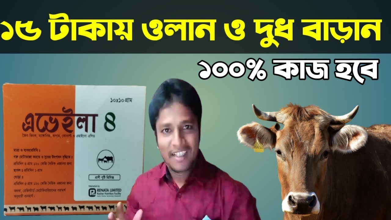 ১৫ টাকায় গরুর ওলান নরম ও দুধ বাড়বে । কিভাবে availa 4 দিলে গরুর ওলান ...
