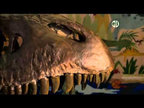 Dinosaur Train Raptorex