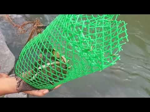 Make your own DIY CRAB TRAP, Camping ,BUSHCRAFT ,fishing, hunting, trapping, survival skill ...
