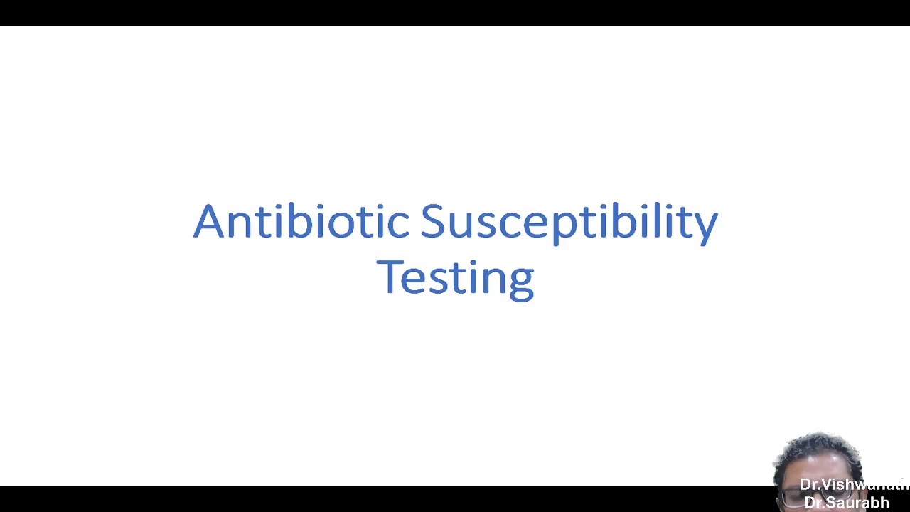 Antimicrobial susceptibility testing Practical - YouTube