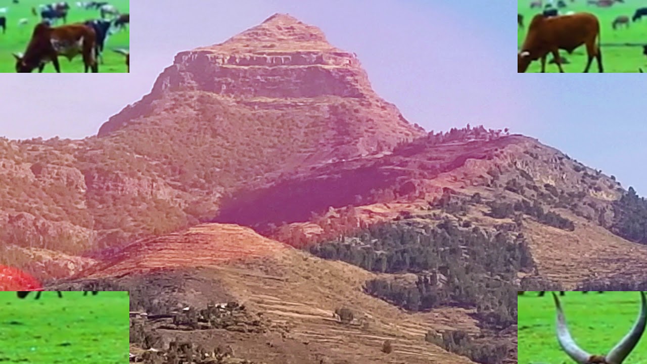 Haile Mergeta (Estiloa Adina) New Ethiopian Tigrigna Raya music 2019 ...