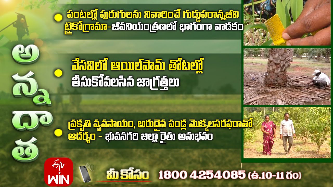 27th March 2024 | Annadata | అన్నదాత | Full Episode | ETV Telugu - YouTube