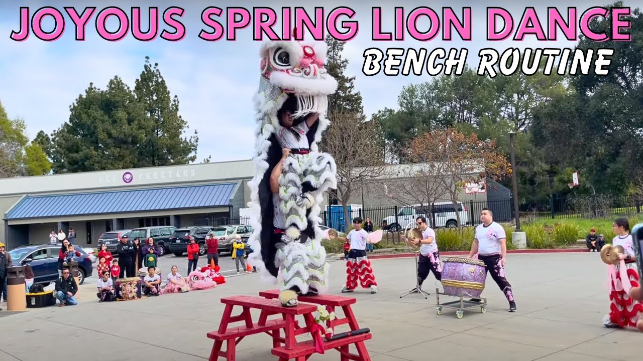 齊樂醒獅團 Joyous Spring Lion Dance | Lunar New Year 2025 - YouTube