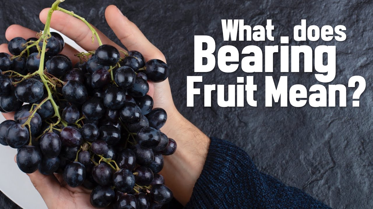 What is "Bearing Fruit"? | Ep 25 | Weekly Devo - YouTube