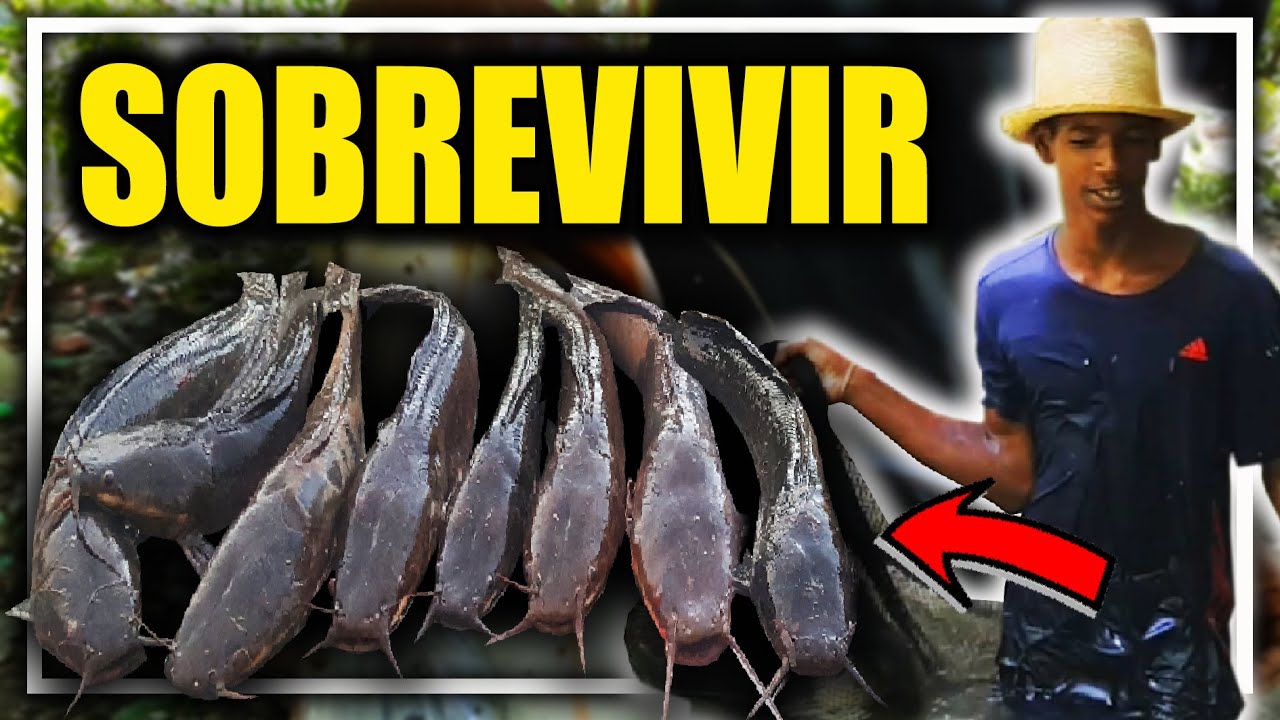 PESCA DE RÍO para SOBREVIVIR 🇨🇺 Realidad de muchos jóvenes para ganarse ...