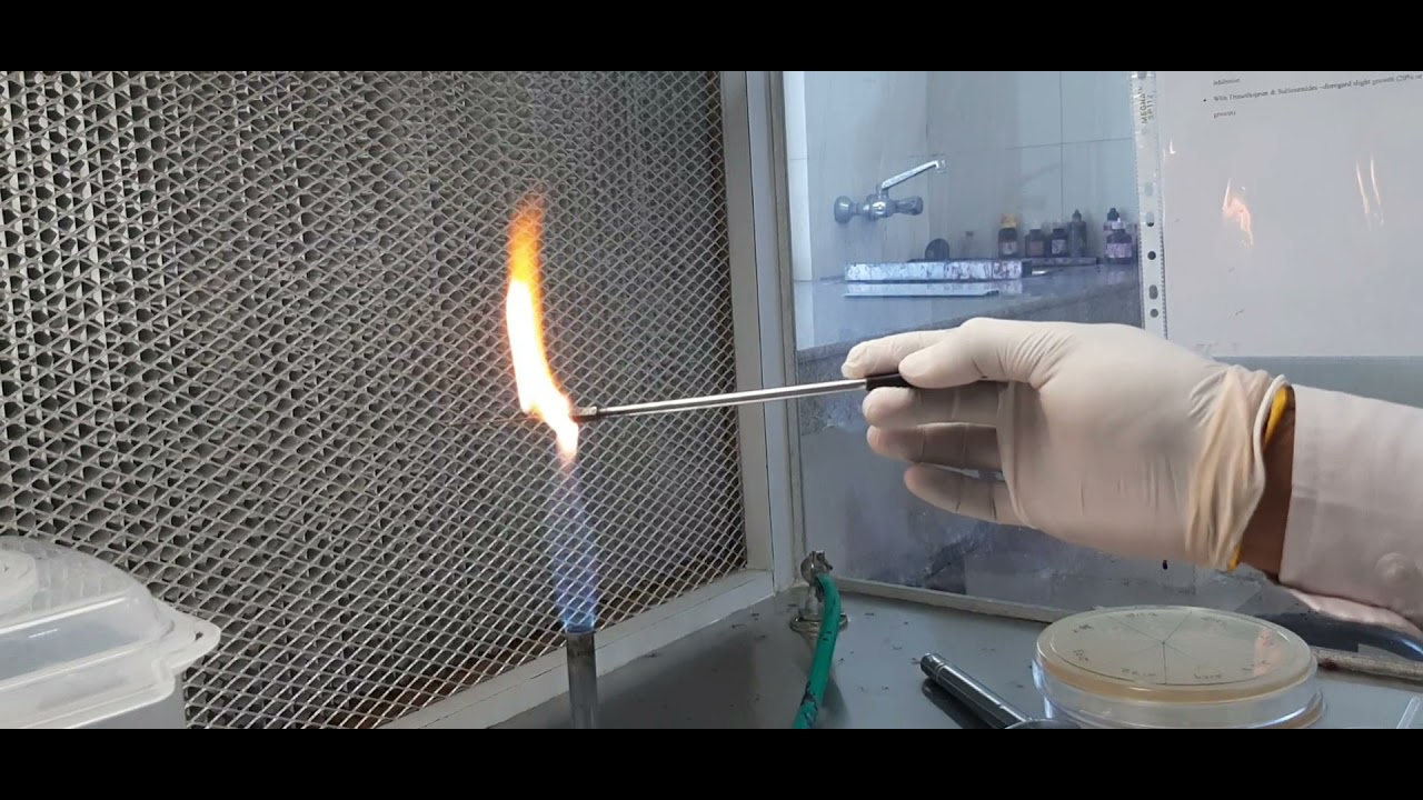 How to sterilise inoculating loop ? |Microbiology | #bacteriology # ...