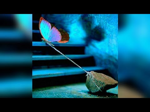 Kaylynn - The Dragging (MY UNOFFICAL VIDEOCLIP)