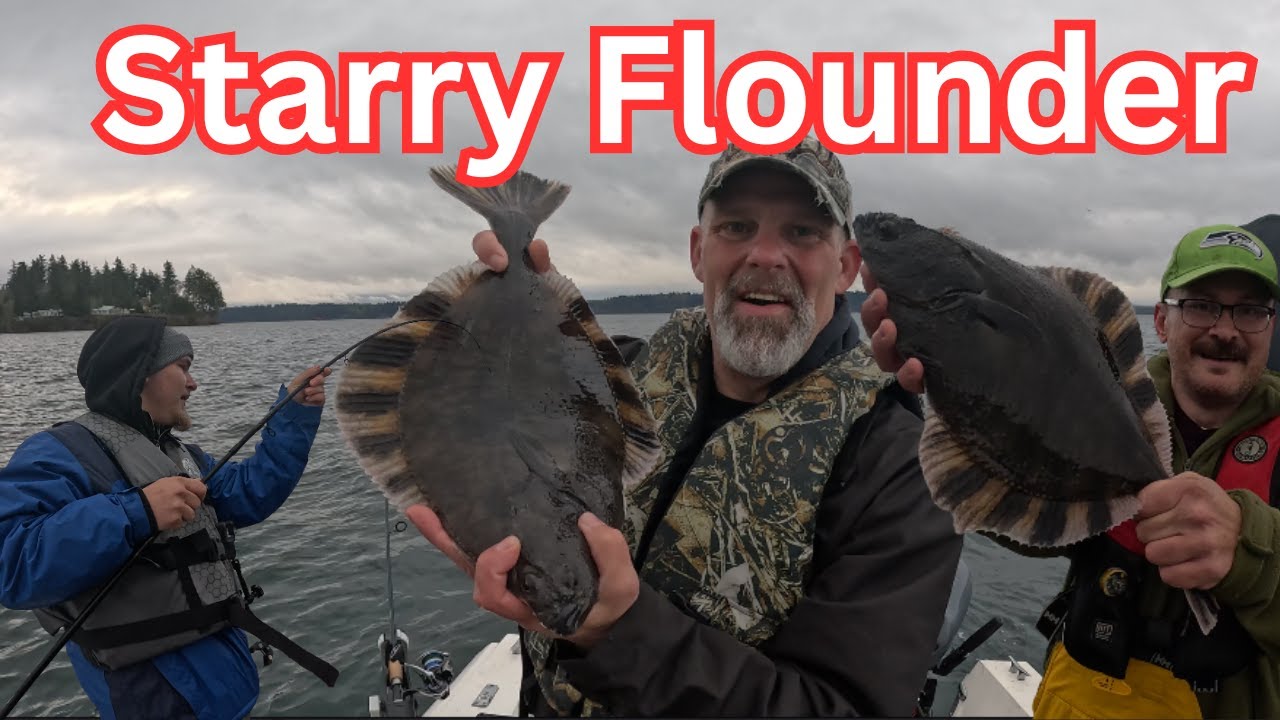 BIGGEST Starry Flounder I've ever seen, Puget Sound Monster Flounder ...