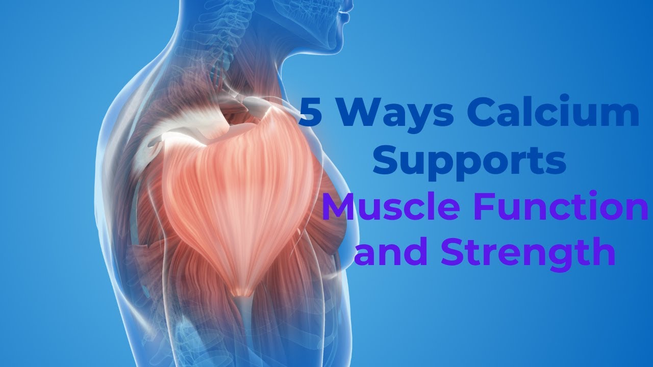 5 Ways Calcium Supports Muscle Function and Strength - YouTube