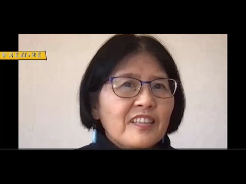 Liqun Chen (UNIVERSITY OF SURREY) - REWIRE Expert Interview Series-2 ...