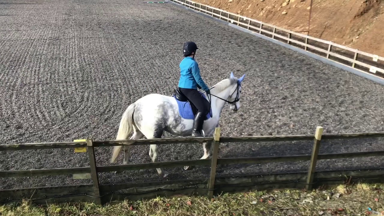 Prelim 7 dressage - YouTube