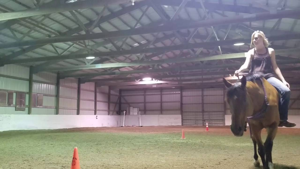 First time bareback and bridleless - YouTube