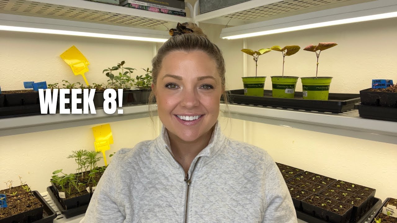 IPM and Sustainable Landscaping! :: Master Gardeners Training Recap Week 8! - YouTube
